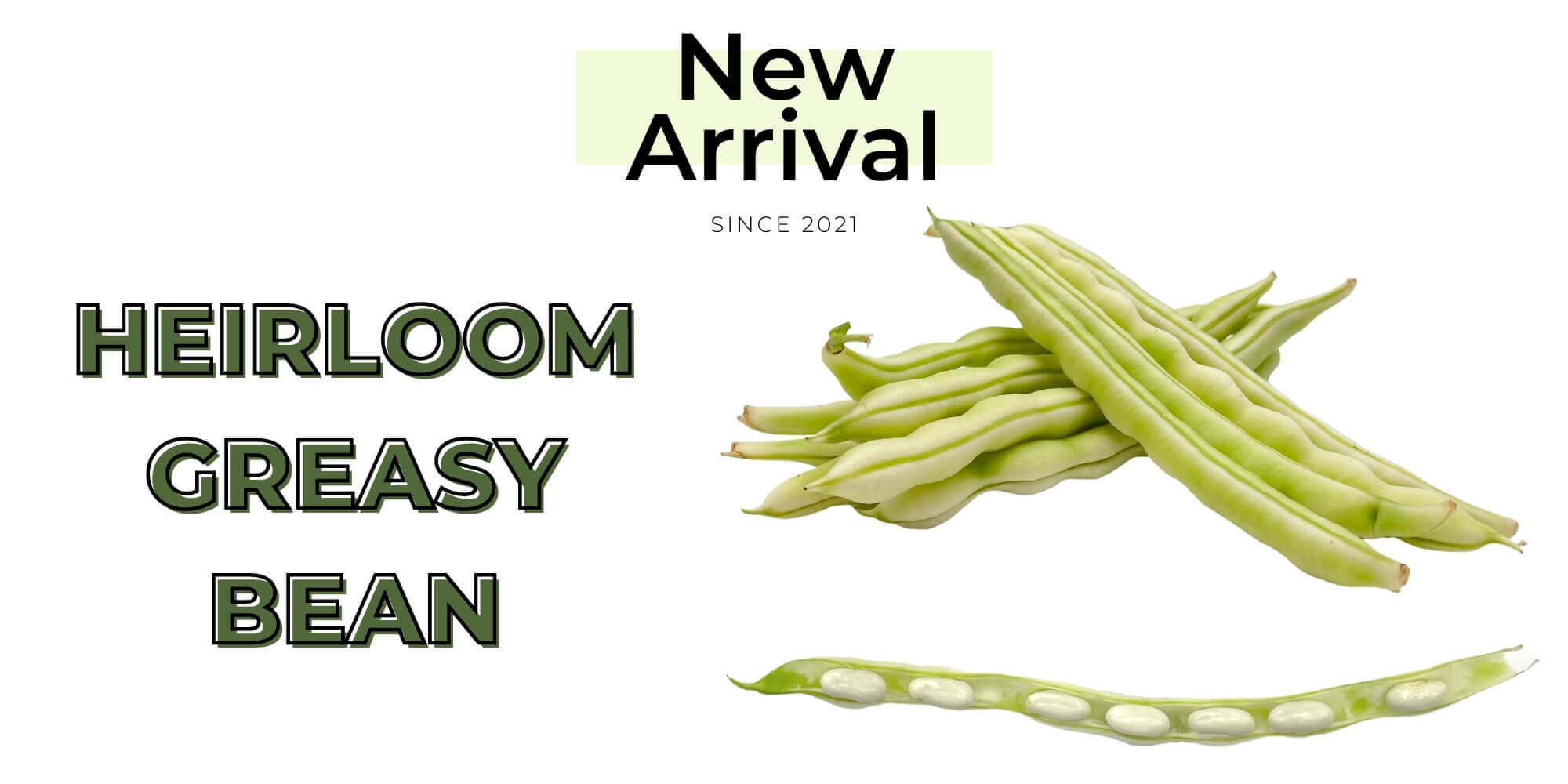 Heirloom Greasy Bean | Purvey'd