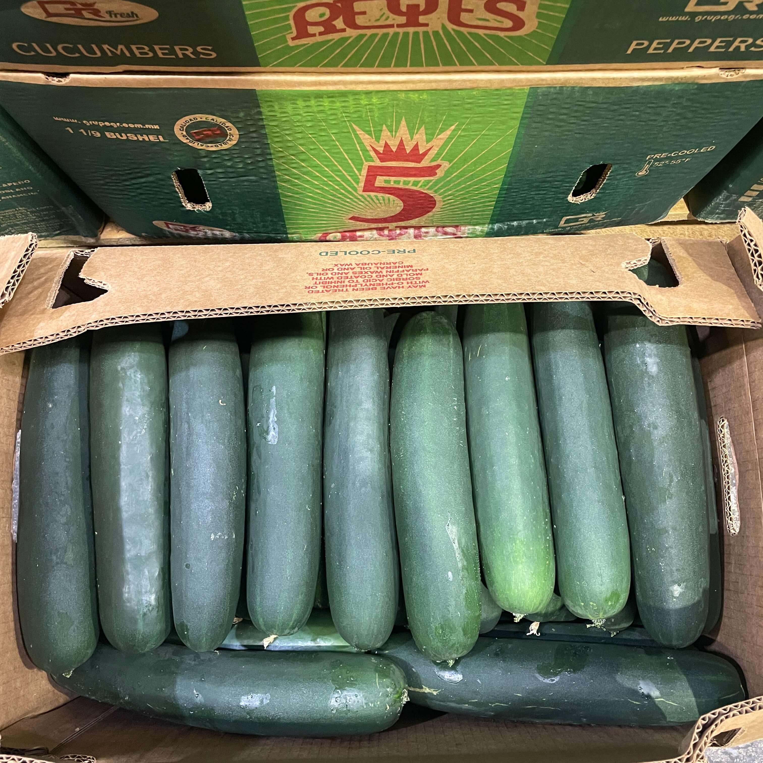 LARGE MEXICAN CUCUMBER | Purvey'd
