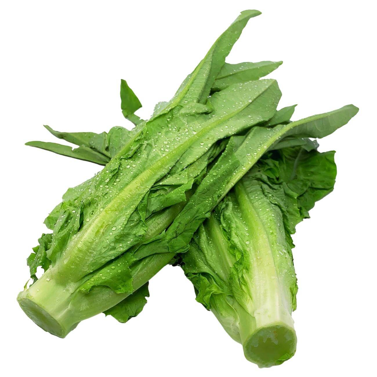 SHOP WHOLESALE AA CHOY | Purvey'd