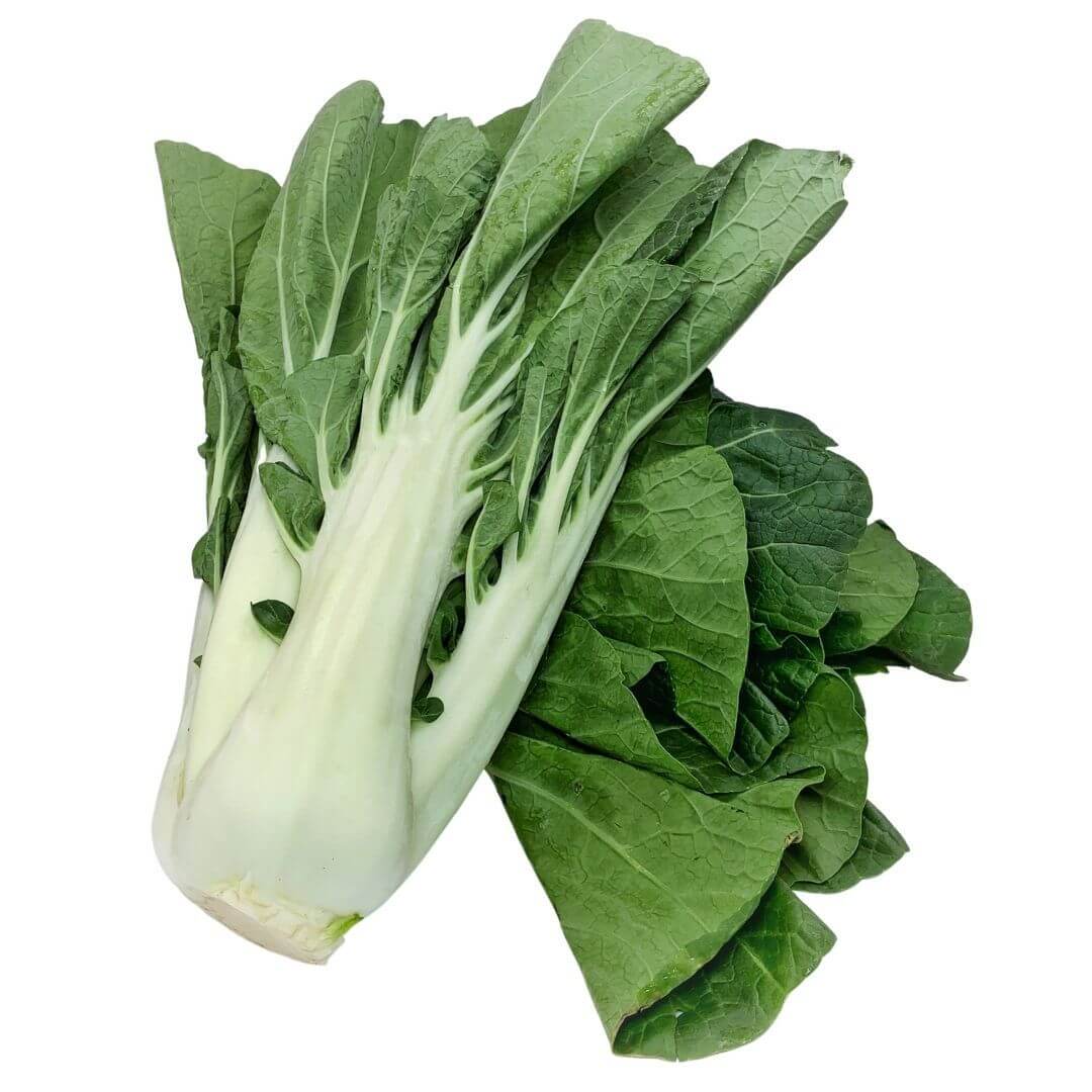 SHOP WHOLESALE BOK CHOY | Purvey'd