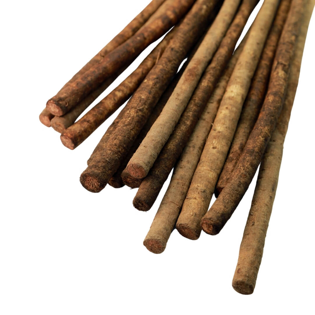 SHOP WHOLESALE BURDOCK | Purvey'd