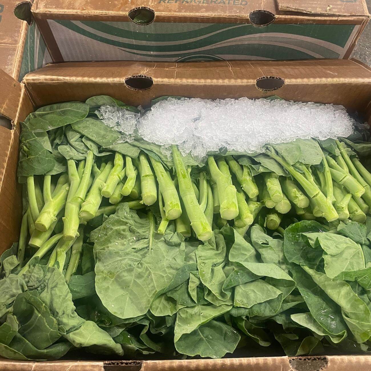 SHOP WHOLESALE CHINESE BROCCOLI | Purvey'd