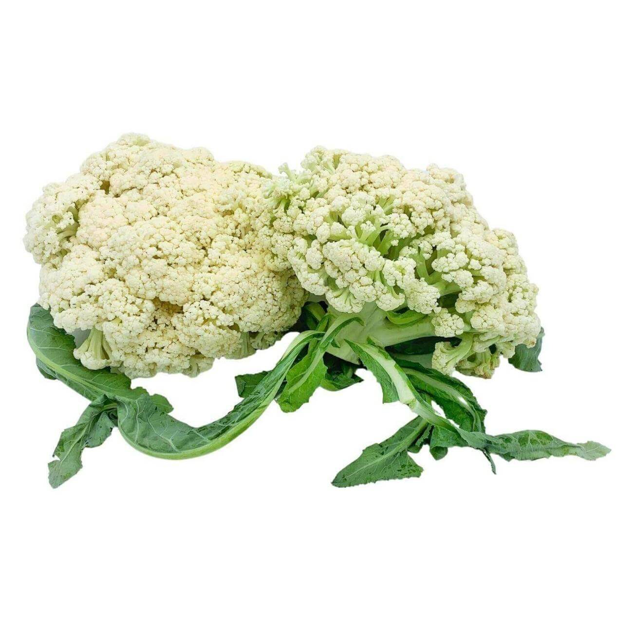 SHOP WHOLESALE CHINESE CAULIFLOWER | Purvey'd
