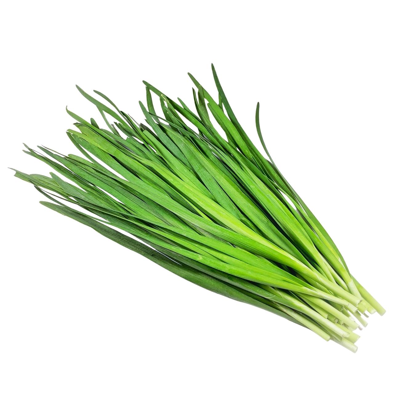 SHOP WHOLESALE CHINESE CHIVES | Purvey'd