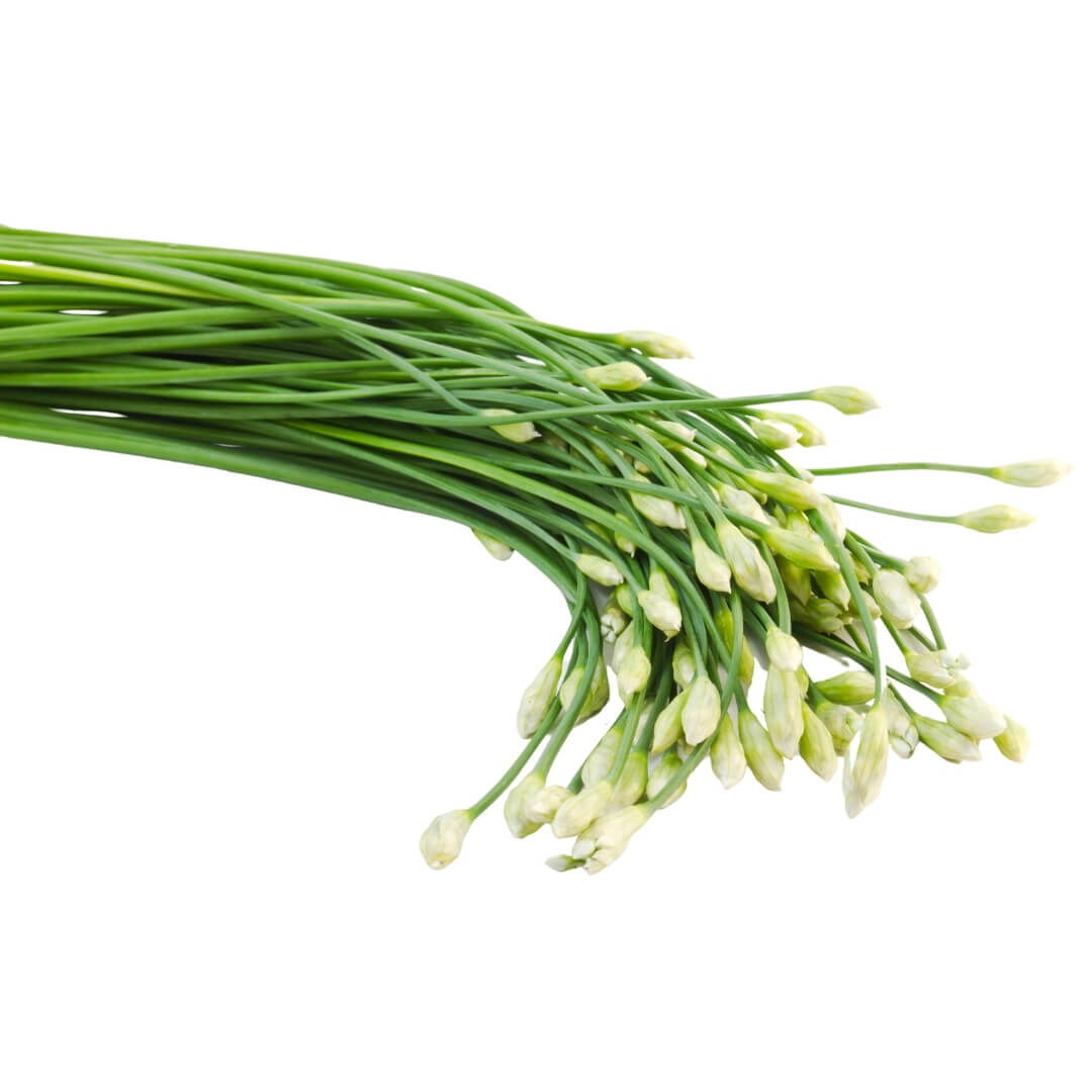SHOP WHOLESALE CHIVE FLOWER | Purvey'd