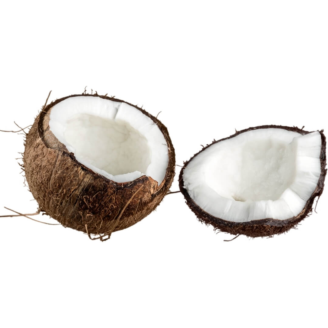 SHOP WHOLESALE COCONUT | Purvey'd