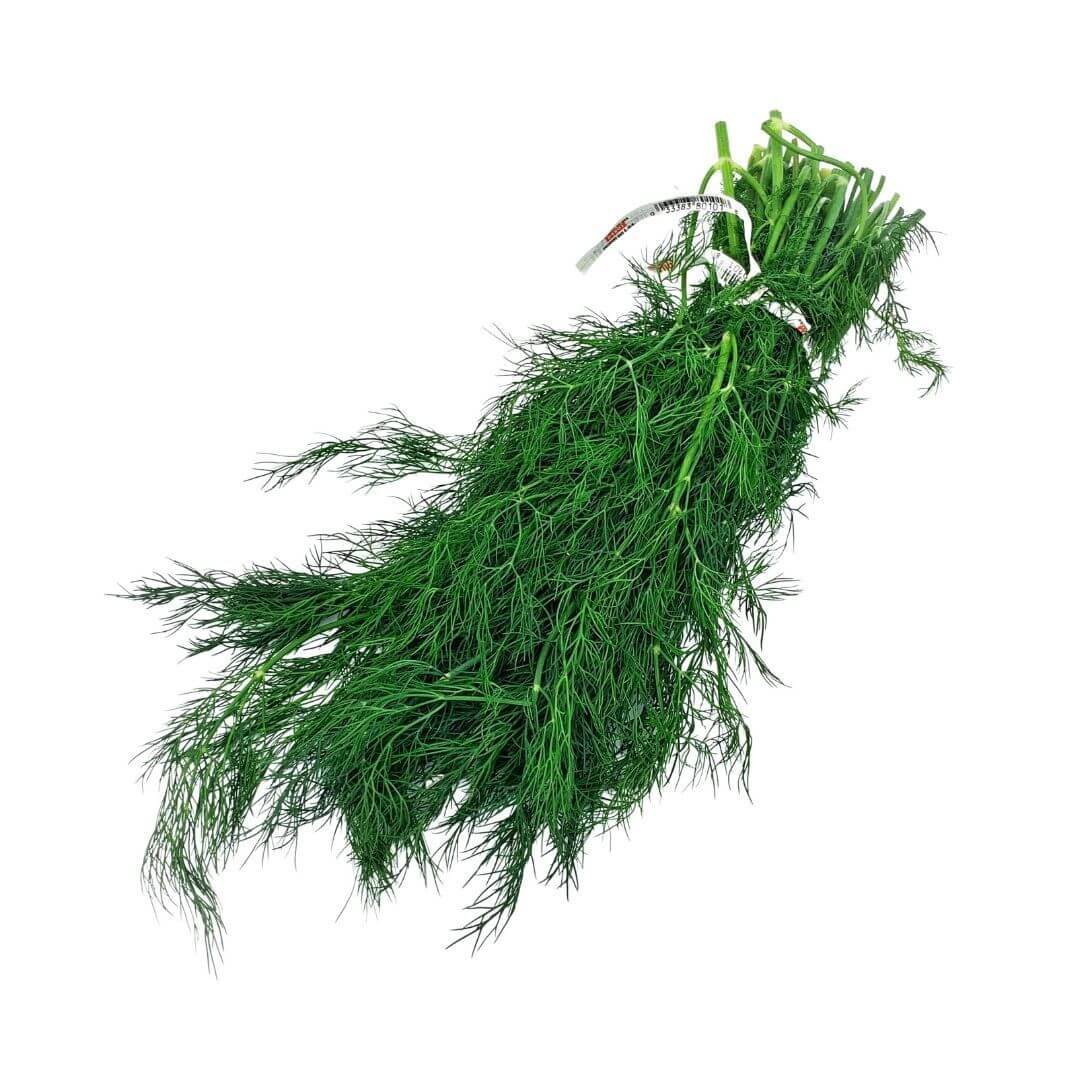 SHOP WHOLESALE DILL | Purvey'd