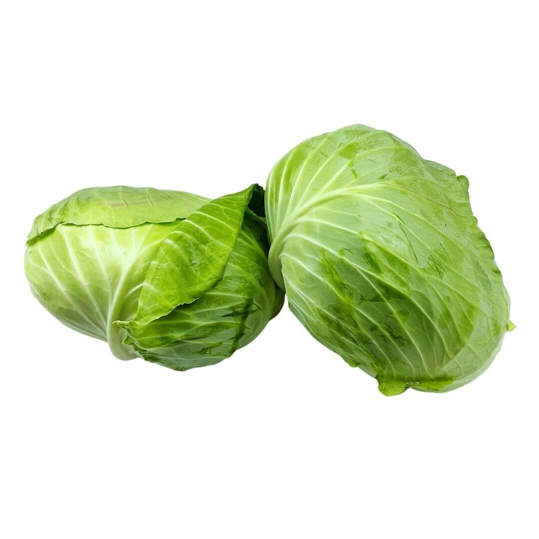 SHOP WHOLESALE FLAT CABBAGE (CHINESE CABBAGE) | Purvey'd