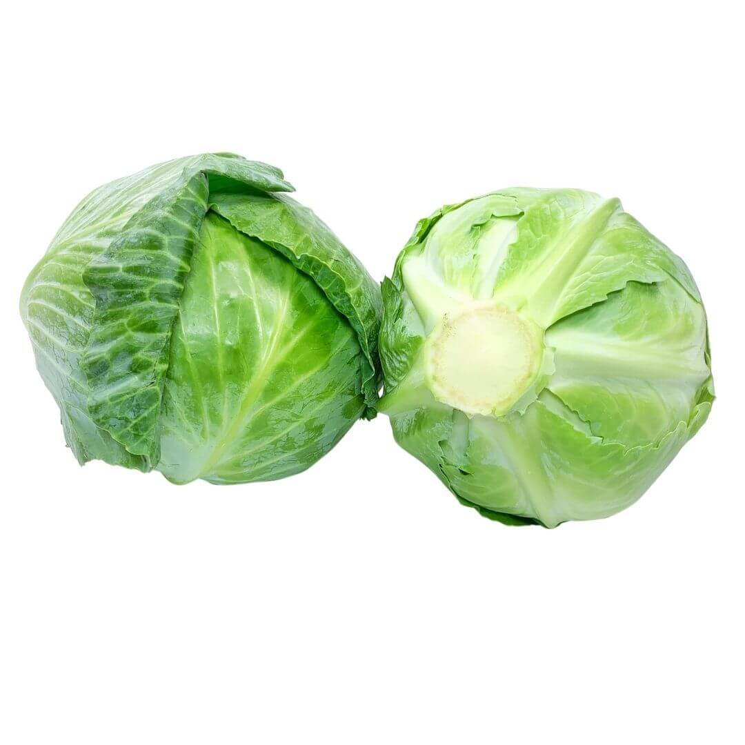 SHOP WHOLESALE GREEN CABBAGE (BOX) | Purvey'd