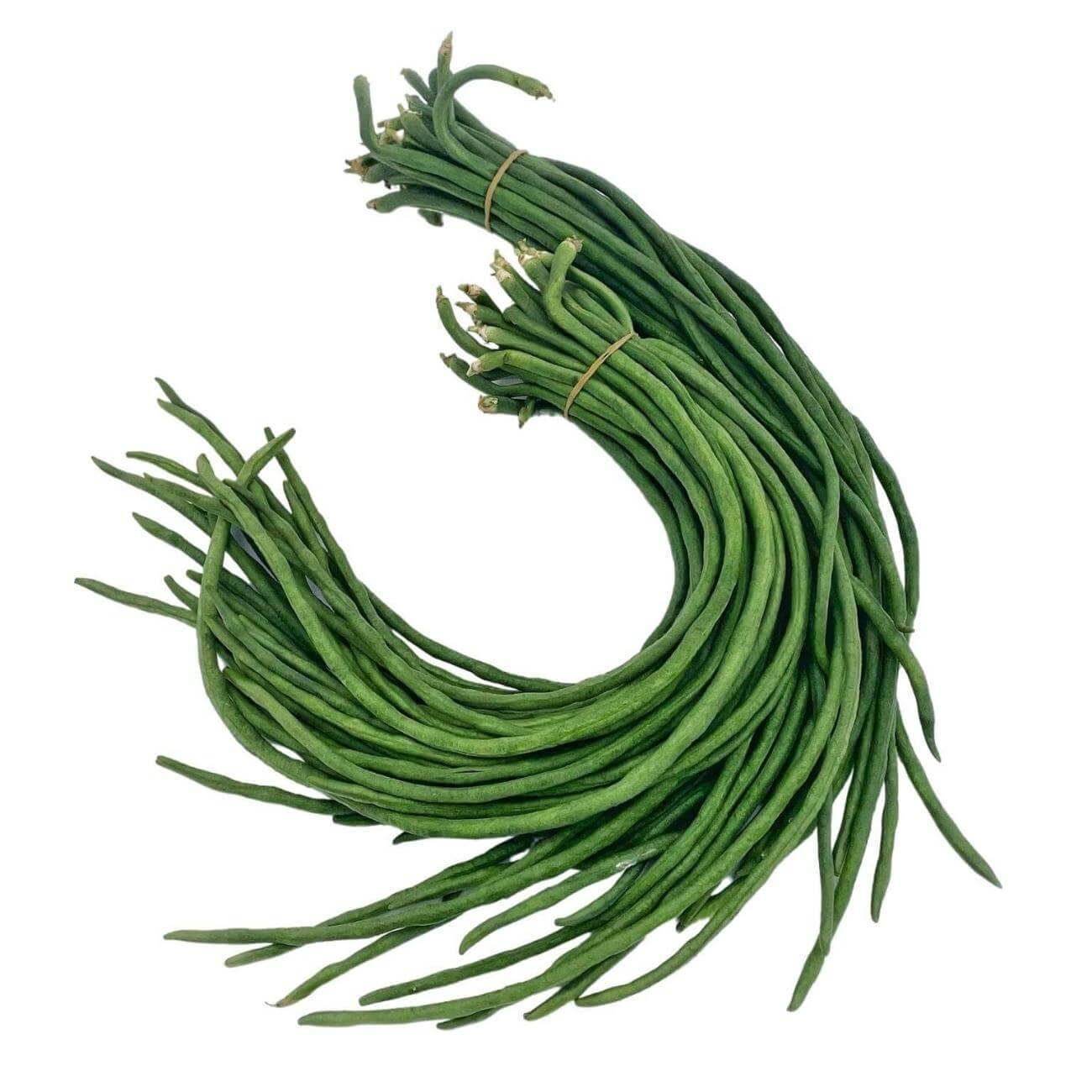 SHOP WHOLESALE GREEN LONG BEAN | Purvey'd