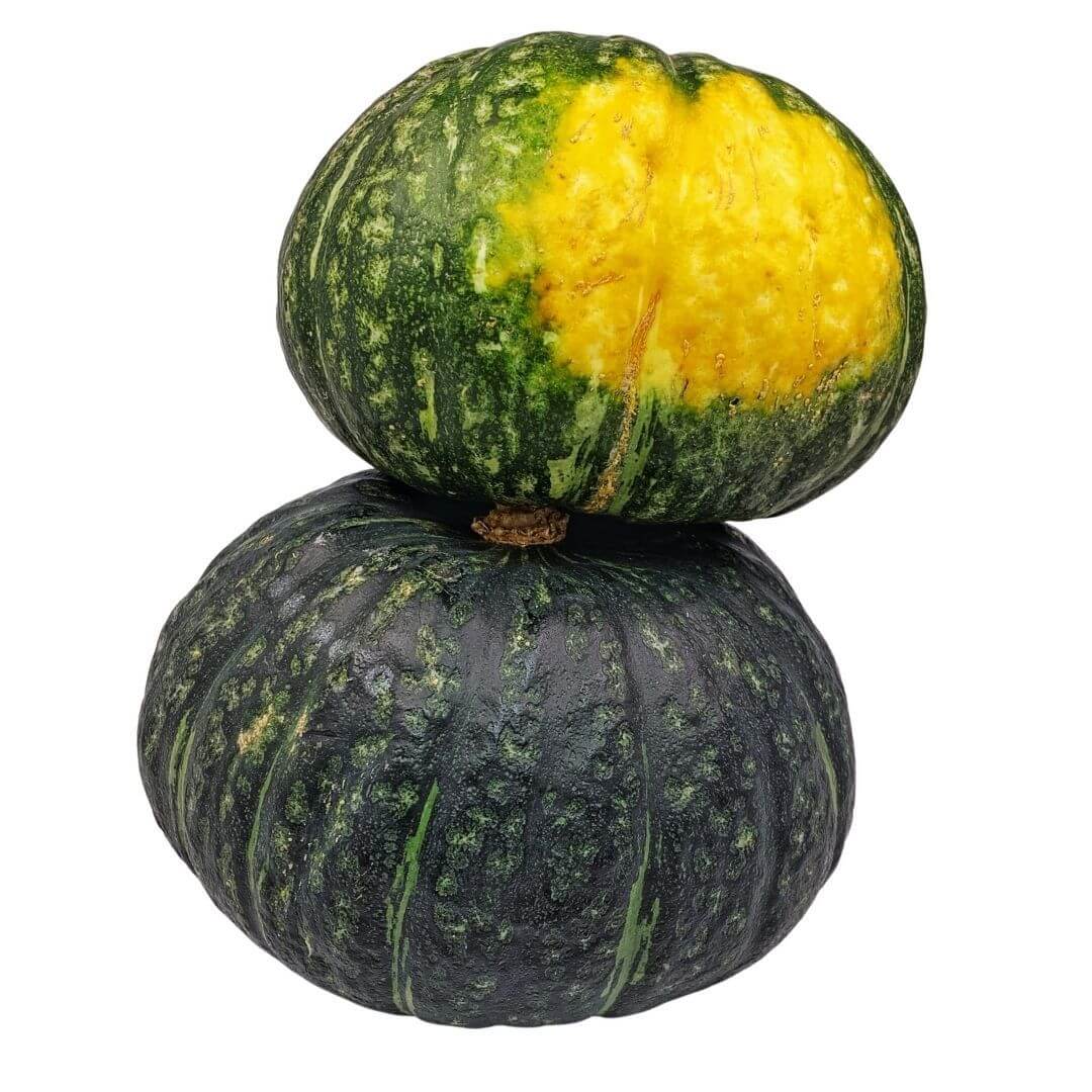 SHOP KABOCHA (SAMPLE) | Purvey'd