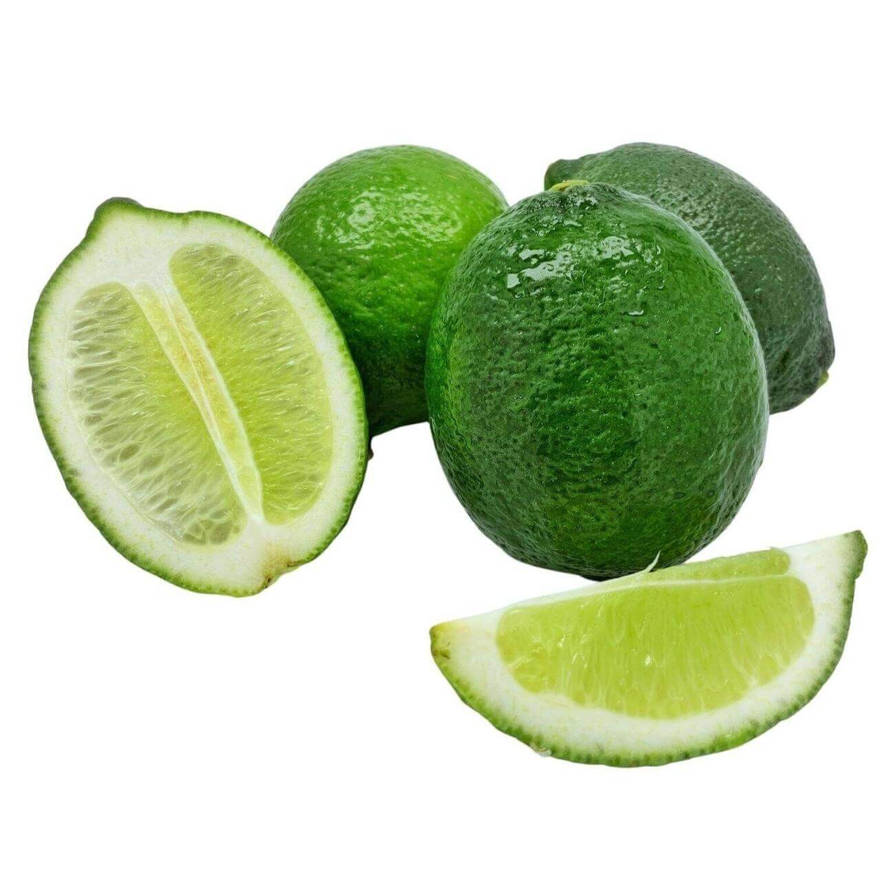 SHOP WHOLESALE LIME #150 | Purvey'd