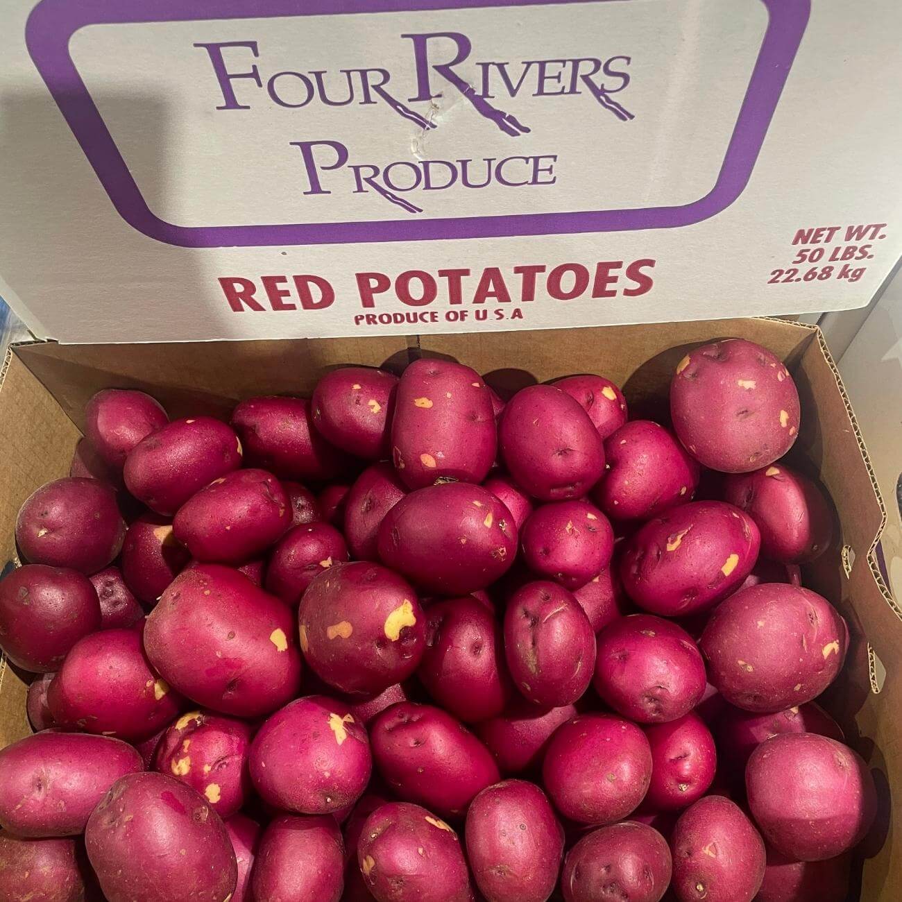 SHOP WHOLESALE RED POTATO (A) (BOX) | Purvey'd