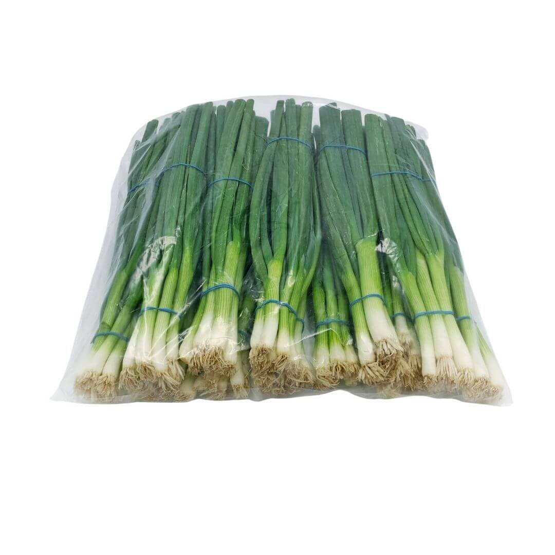 SHOP WHOLESALE SCALLION (ICELESS) | Purvey'd