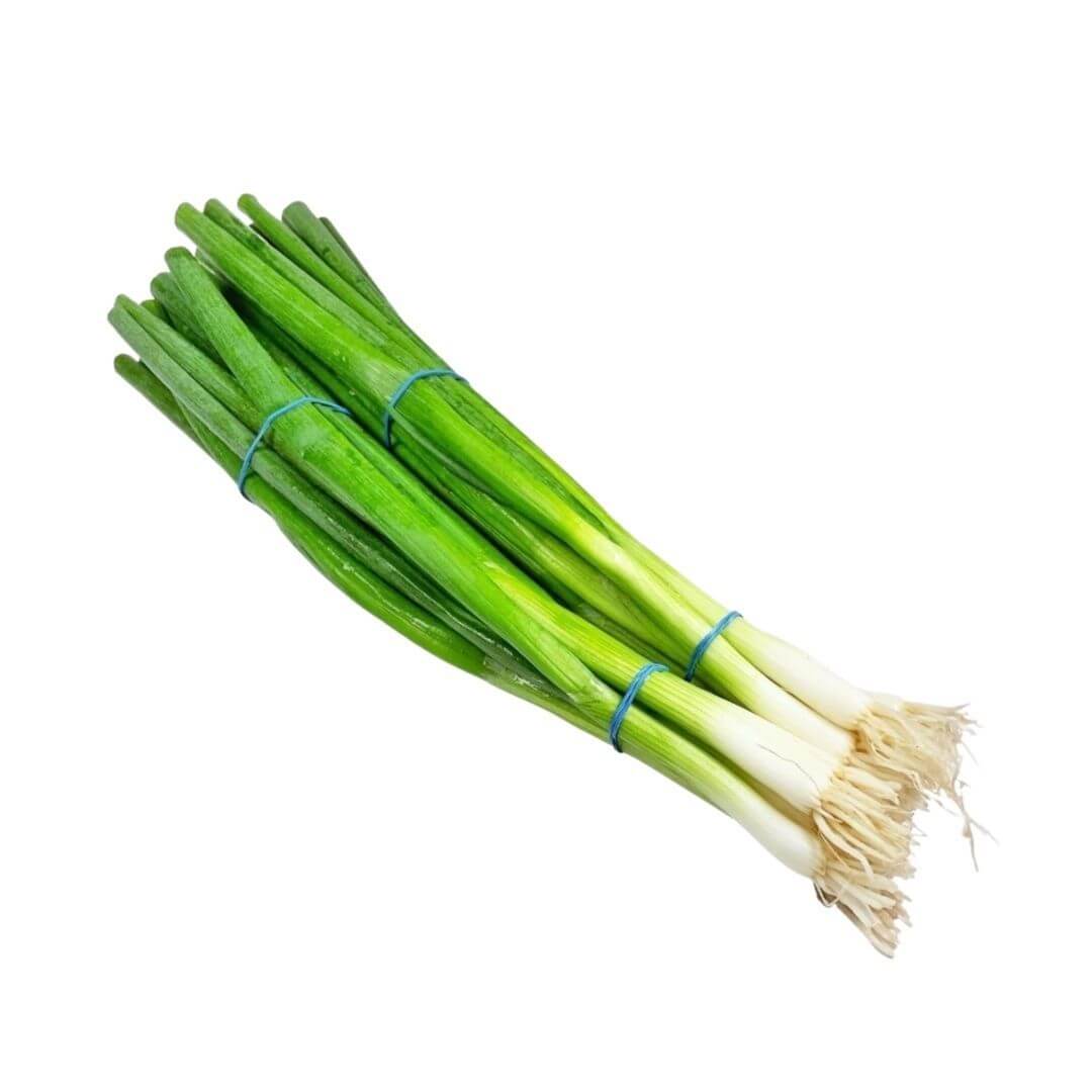 SHOP WHOLESALE SCALLION | Purvey'd