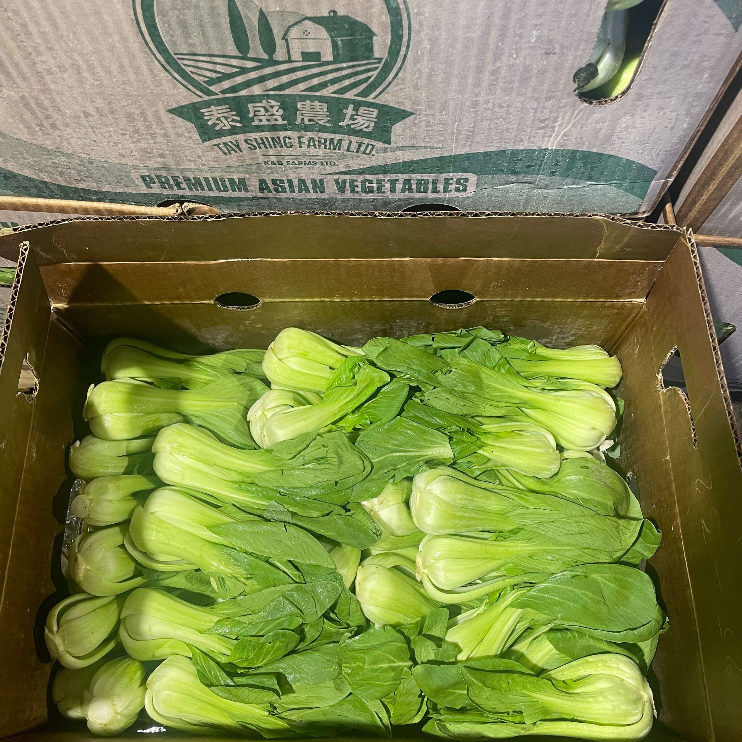 SHOP WHOLESALE SHANGHAI CHOY | Purvey'd
