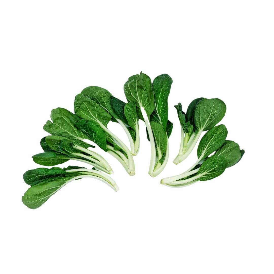 SHOP WHOLESALE SMALL BOK CHOY TIP | Purvey'd