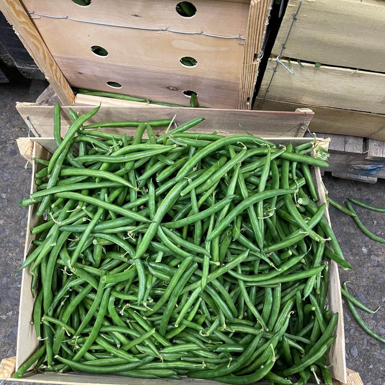 SHOP WHOLESALE STRING BEAN | Purvey'd