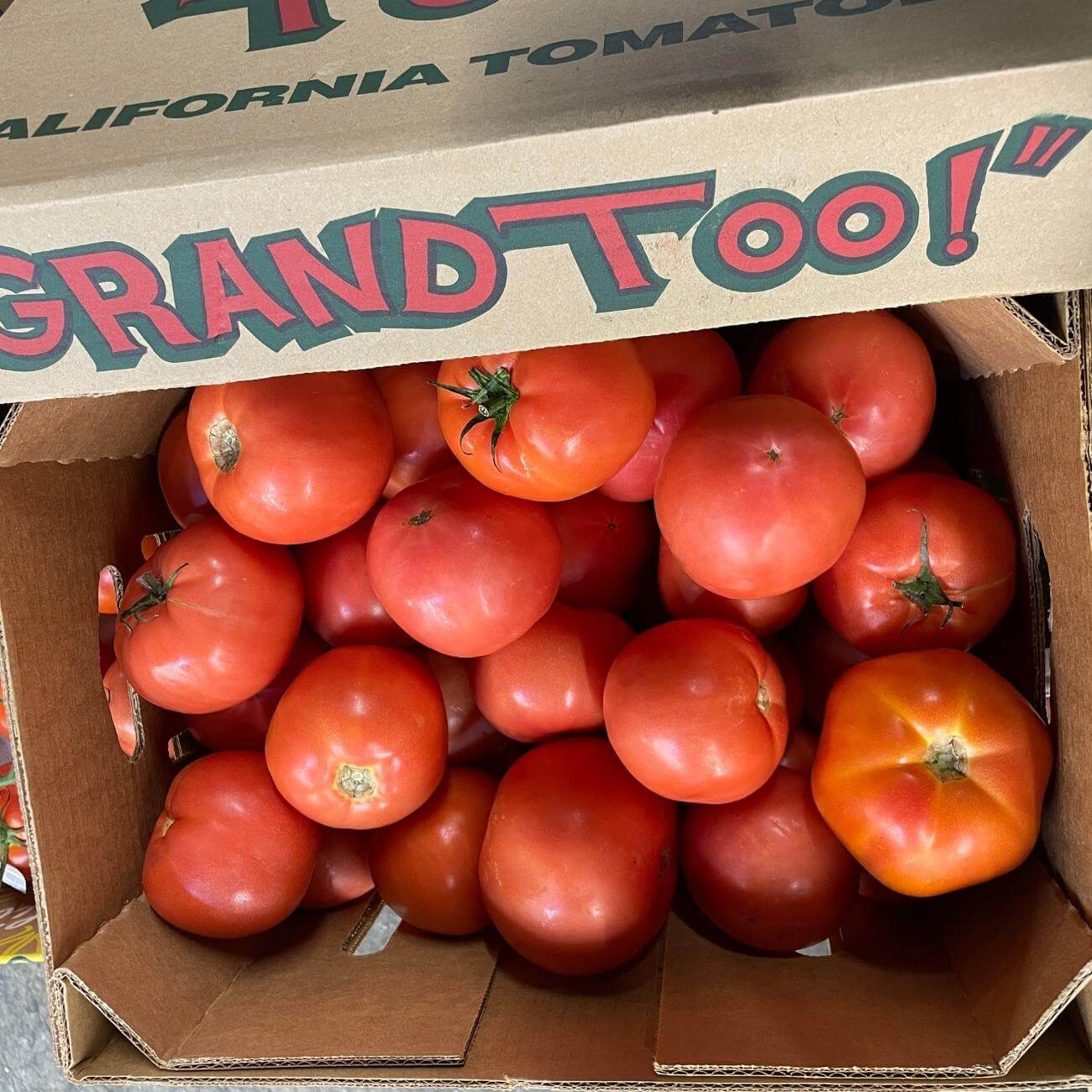 SHOP WHOLESALE TOMATO 5X6 | Purvey'd