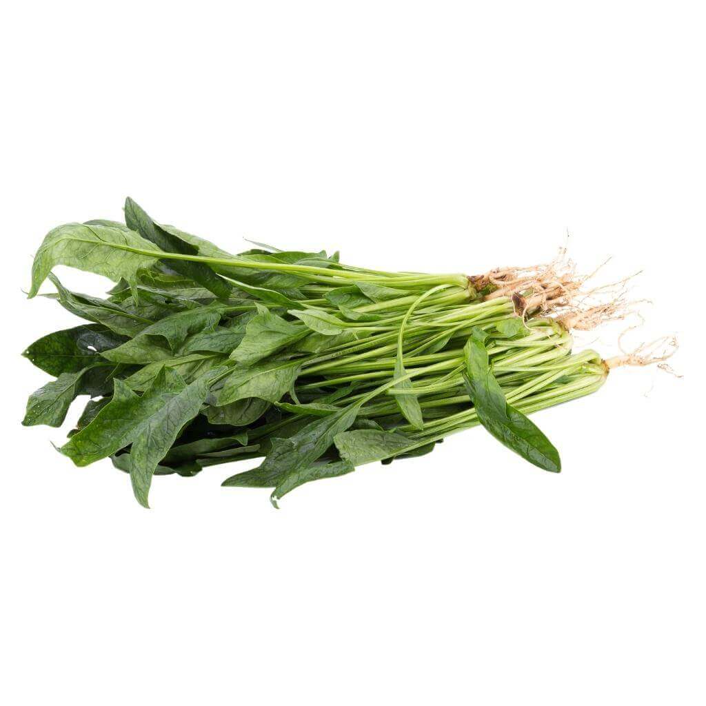 SHOP WHOLESALE WHITE AMARANTH LEAVES TIP | Purvey'd