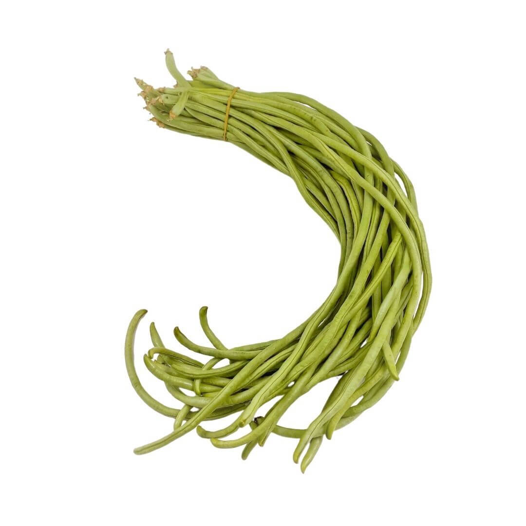 SHOP WHOLESALE WHITE LONG BEAN | Purvey'd
